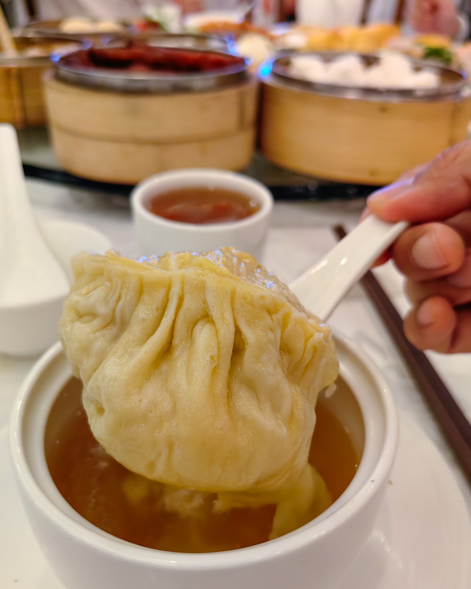 Taste the Tradition: Xin Cuisine’s Dim Sum Delights in Concorde Hotel ...