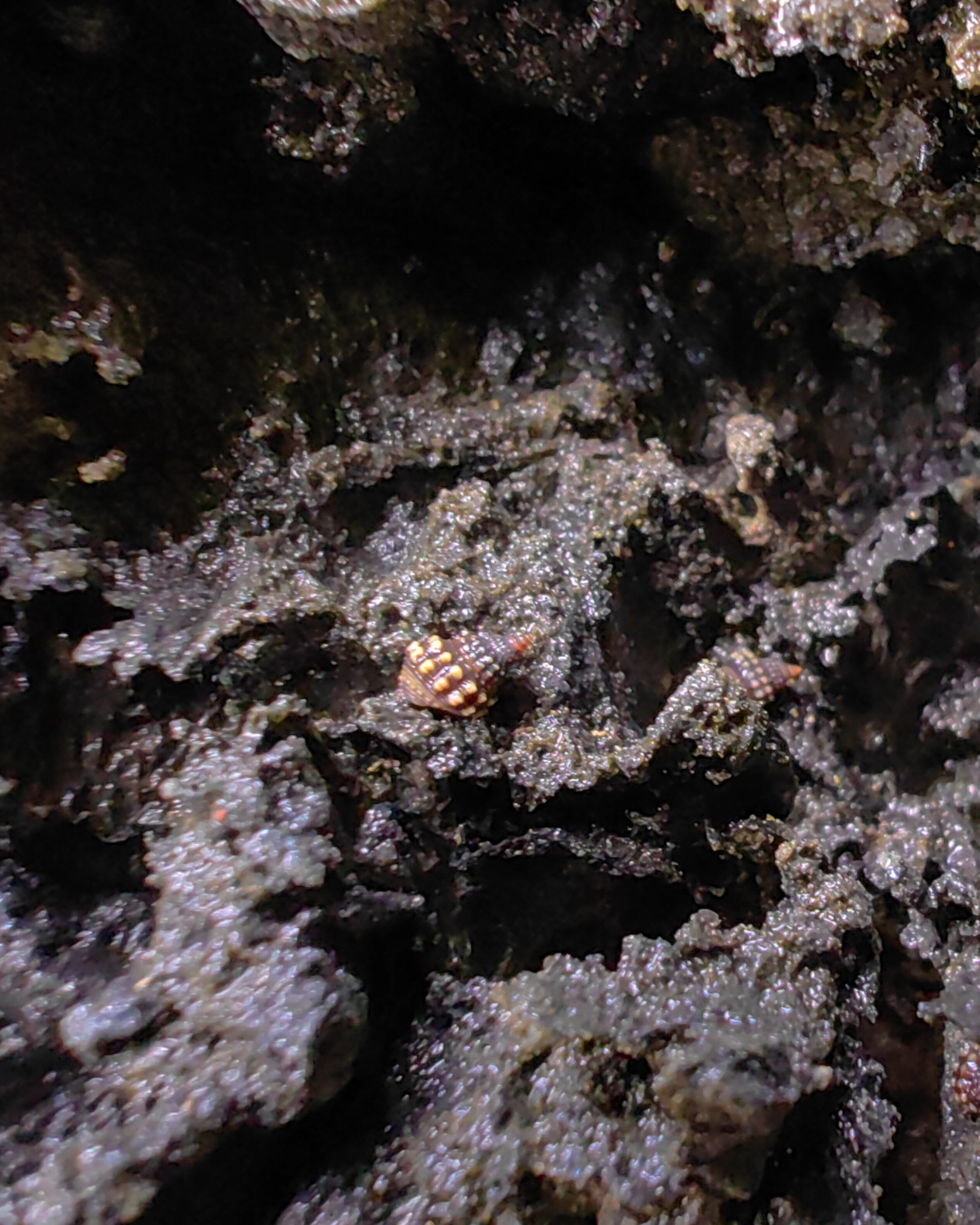 Exploring Thailand’s First UNESCO Global Geopark in Satun, Thailand ...