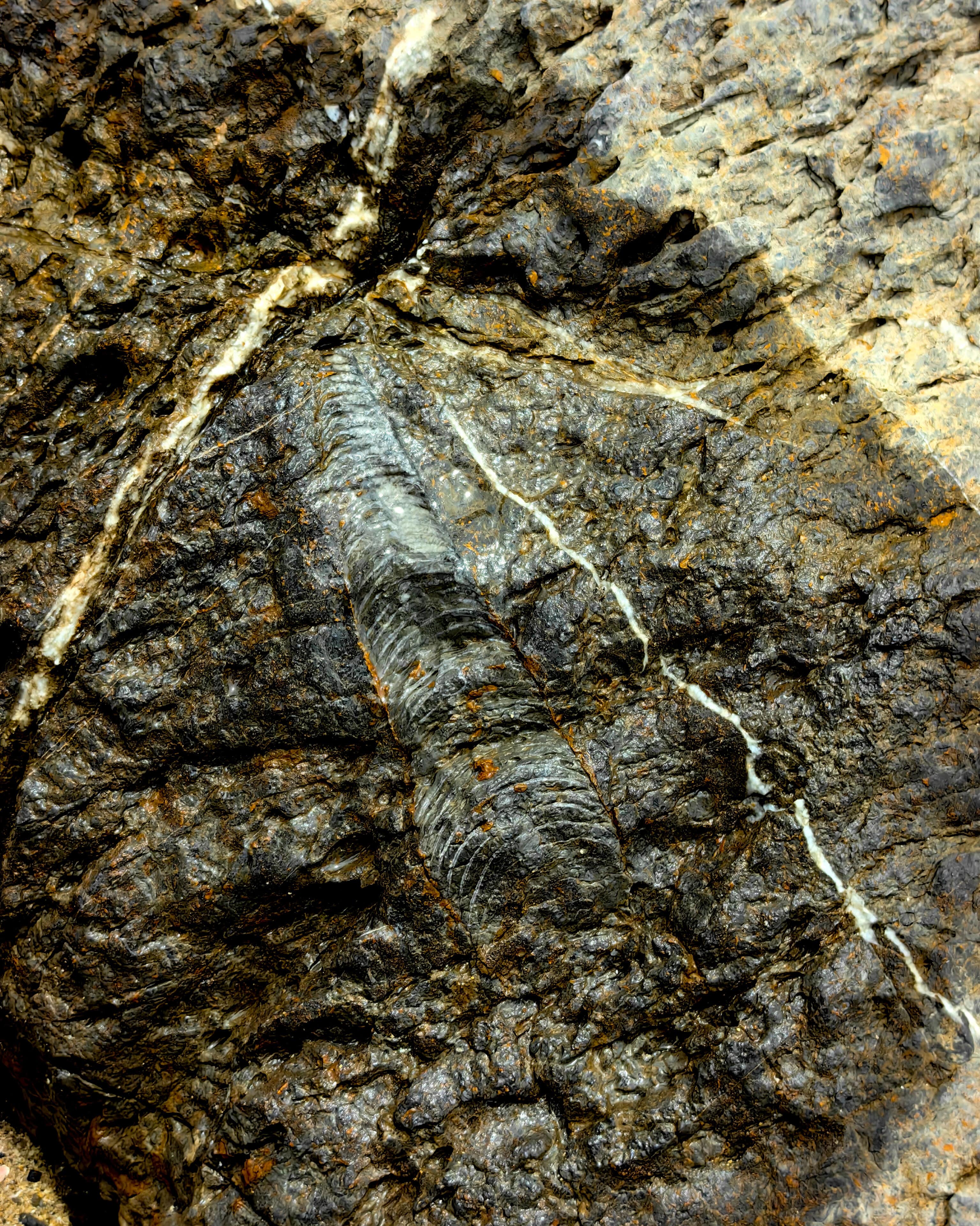 Exploring Thailand’s First UNESCO Global Geopark in Satun, Thailand ...